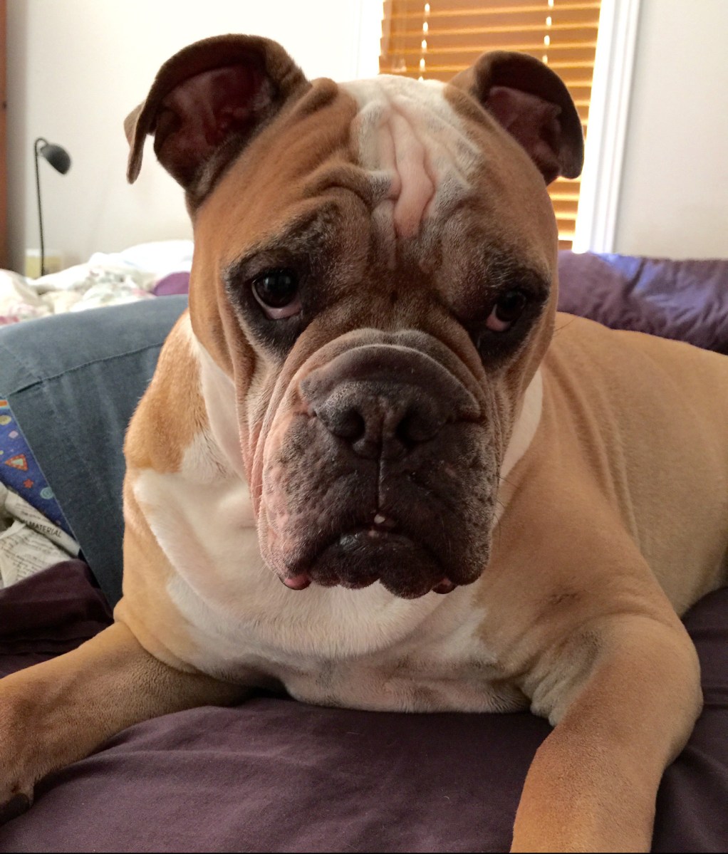 Heroes – Experience Has Made Me Rich